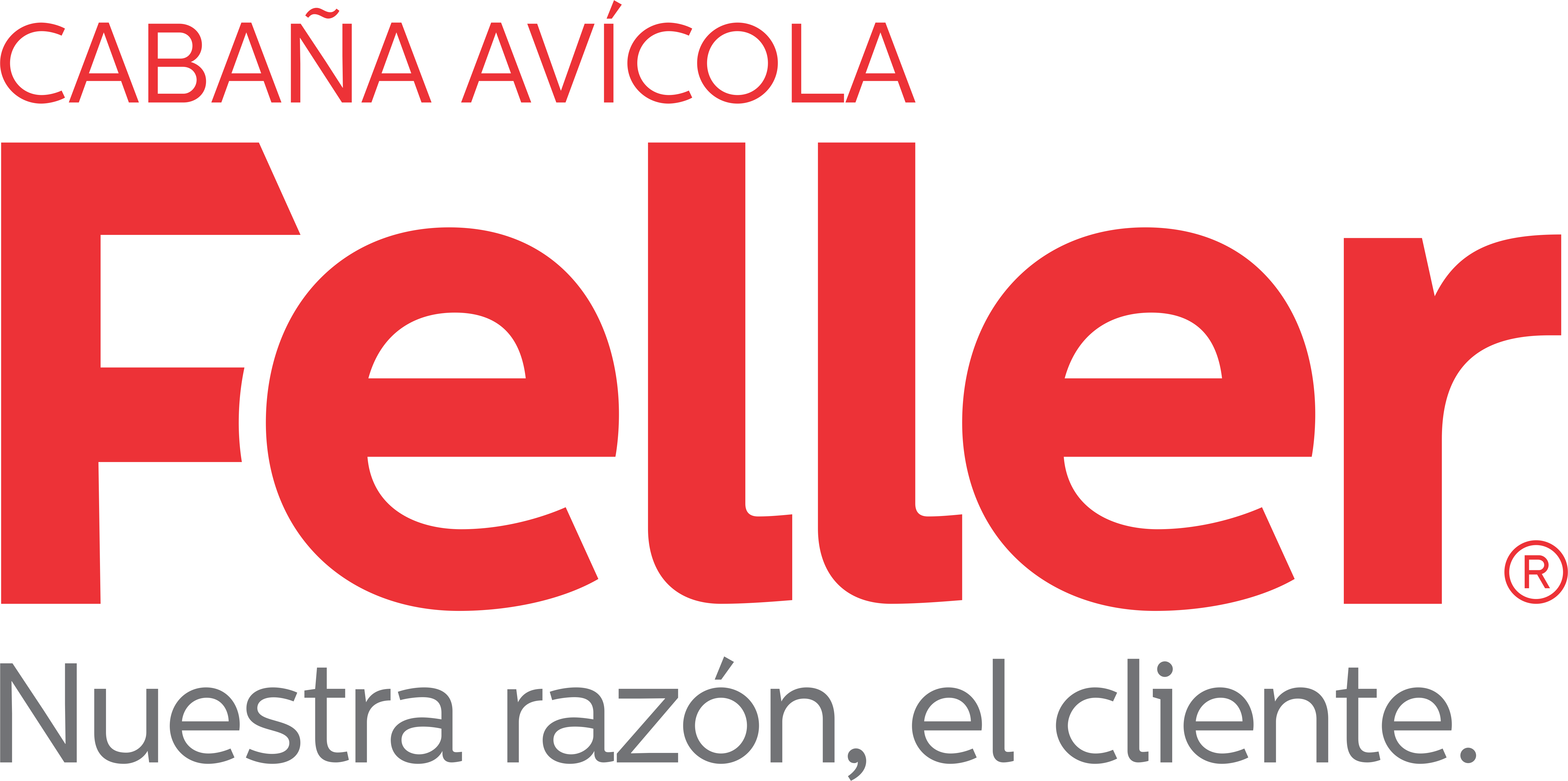 FELLER logo en alta - XVIII Foro Anual “Institucionalidad ...